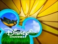 Disney Channel Bounce-Era Logo Variations | Disney Wiki | Fandom