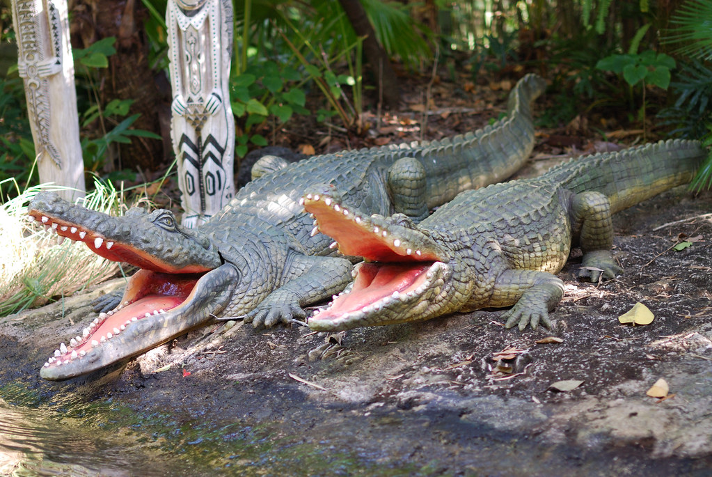 Crocodiles Disney Wiki Fandom