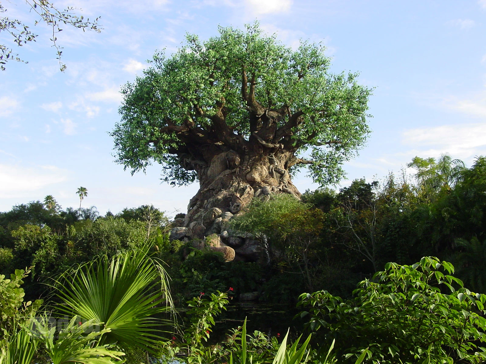 Discovery Island | Disney Wiki | Fandom