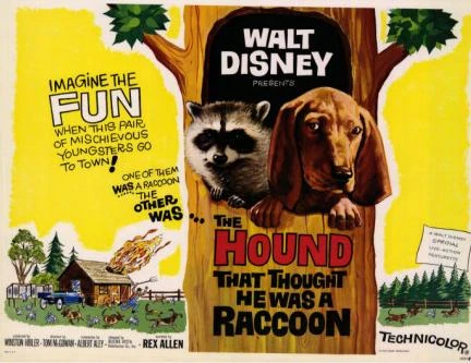 The Hound That Thought He Was a Raccoon | Disney Wiki | Fandom