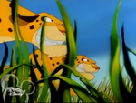 Cheetato and Cheetata/Gallery | Disney Wiki | Fandom
