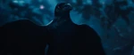 Diaval/Gallery | Disney Wiki | Fandom
