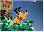 Springtime for Pluto | Disney Wiki | Fandom