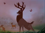 The Great Prince of the Forest/Gallery | Disney Wiki | Fandom