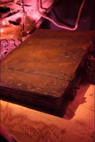 Pirate's Code | Disney Wiki | Fandom