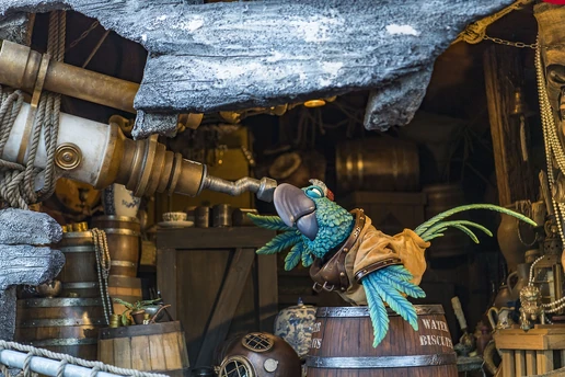 Duncan the Parrot | Disney Wiki | Fandom