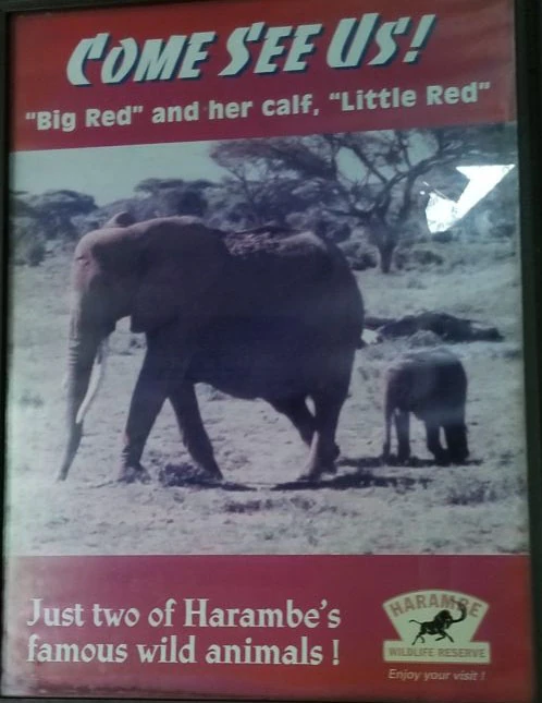 Little Red and Big Red | Disney Wiki | Fandom