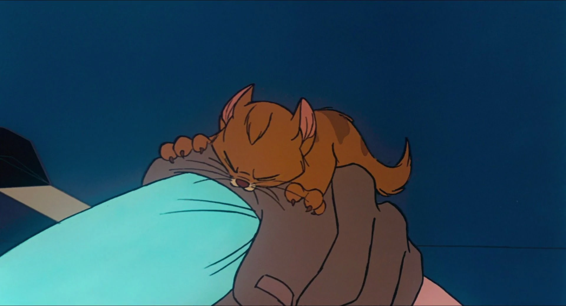 Oliver Y Compañía Oliver Oliver Y Compañía