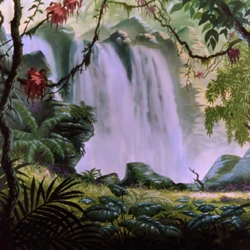 Disney Forest Films