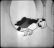 Parrot | Disney Wiki | Fandom