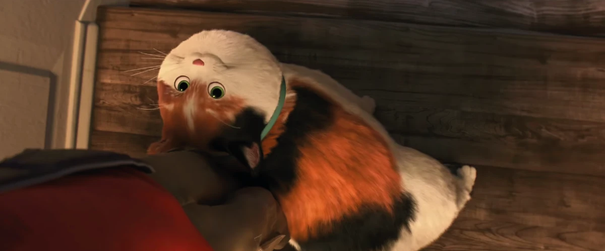 Mochi | Disney Wiki | Fandom