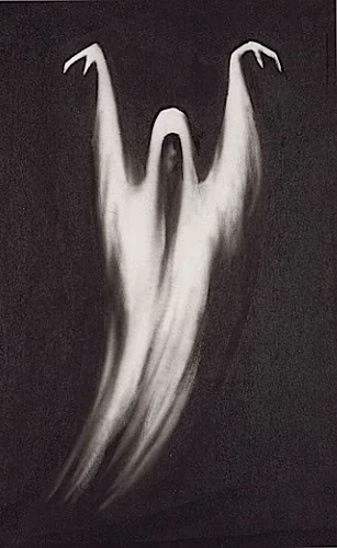 The Purple Shroud | Disney Wiki | Fandom