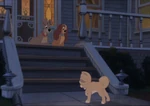 Angel (Lady and the Tramp)/Gallery | Disney Wiki | Fandom