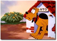 Pluto's Blue Note | Disney Wiki | Fandom