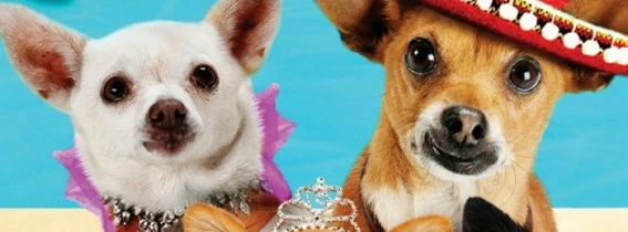 Papi/Gallery | Disney Wiki | Fandom