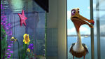 Nigel (Finding Nemo)/Gallery | Disney Wiki | Fandom