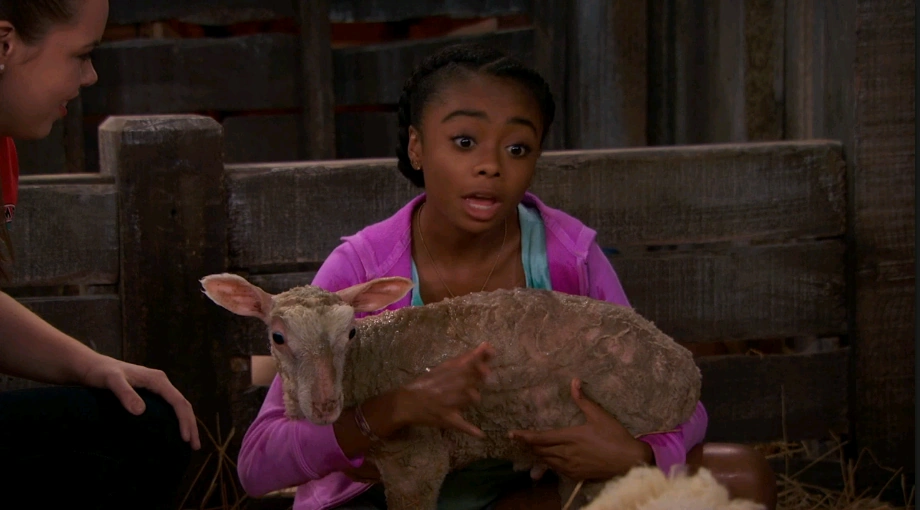 Zuri Has a Little Lamb | Disney Wiki | Fandom