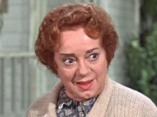 Mrs. MacDougall | Disney Wiki | Fandom