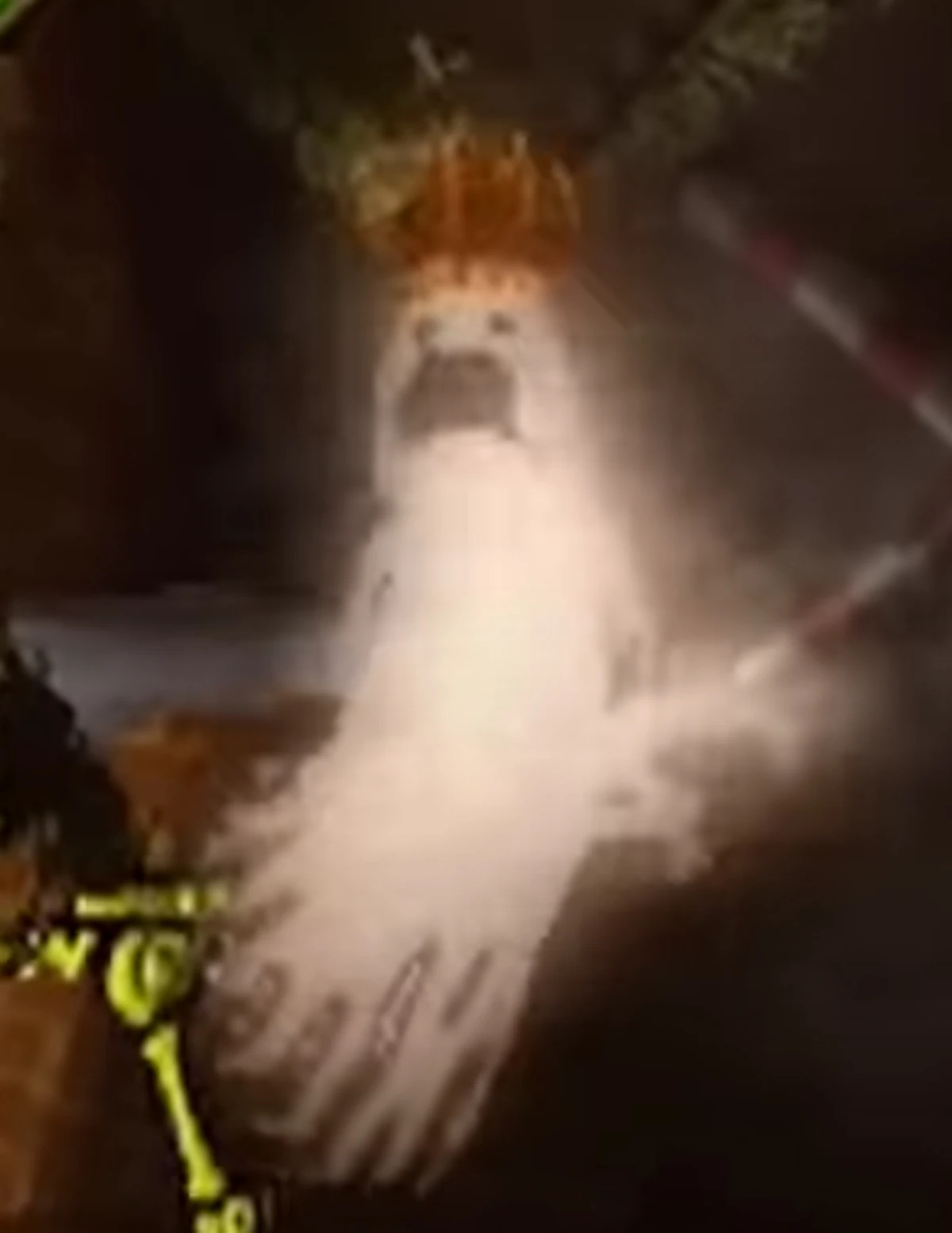 King Ghosts | Disney Wiki | Fandom