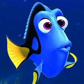 Dory | Disney Wiki Tiếng Việt | Fandom