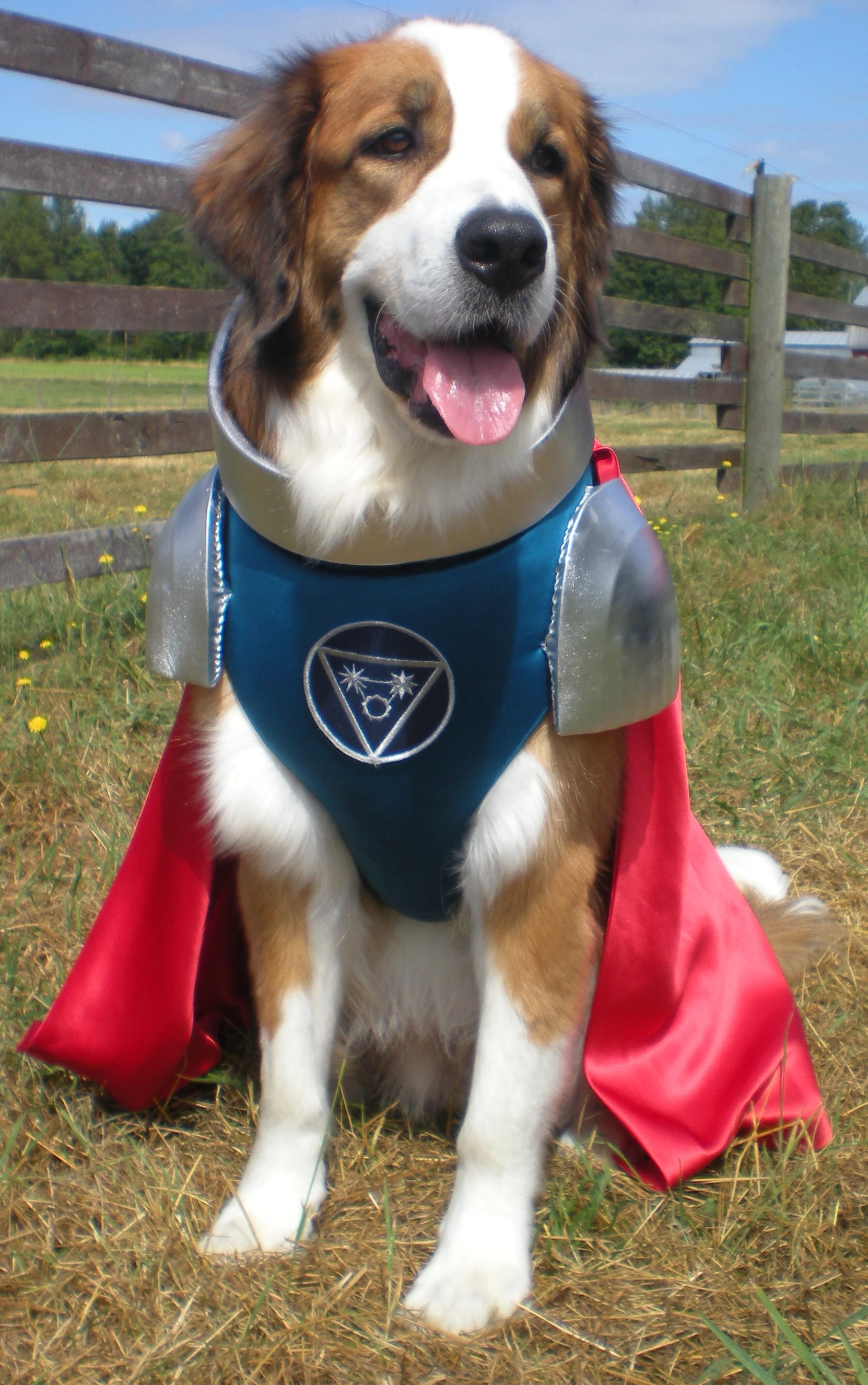 What Which Dog Has Super Buddies Super Power