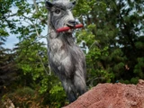 Category:Goats | Disney Wiki | Fandom