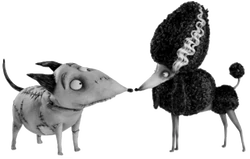 Frankenweenie Sparky And Persephone