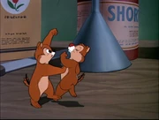 Chip and Dale Through the Years | Disney Wiki | Fandom
