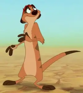 Timon | Disney Wiki | Fandom
