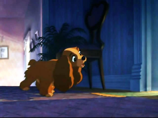 Lady/Galeria | Disney Wiki | Fandom