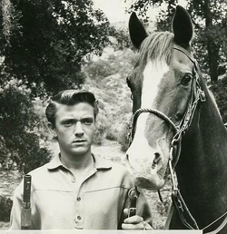 Tim Considine Willette Hunt