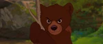 Koda/Gallery | Disney Wiki | Fandom