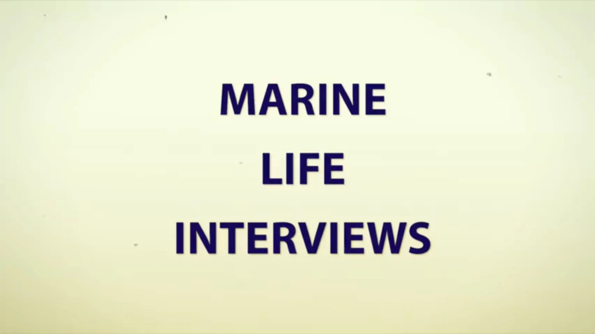 Marine Life Interviews | Disney Wiki | Fandom