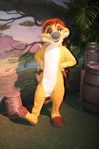 Timon and Pumbaa Costumes Through the Years | Disney Wiki | Fandom