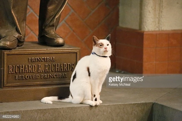 Cat With a Blog | Disney Wiki | Fandom