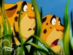 Cheetato and Cheetata/Gallery | Disney Wiki | Fandom