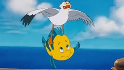 Flounder/Relationships | Disney Wiki | Fandom