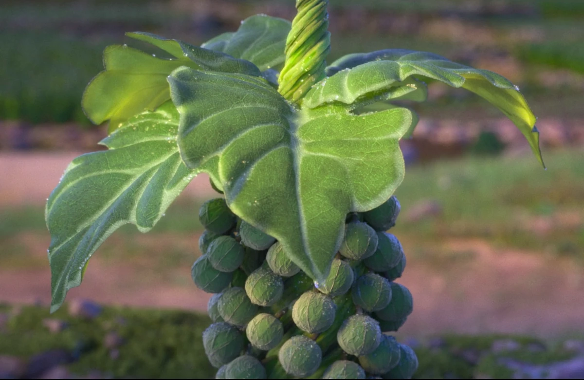 Pando | Disney Wiki | Fandom