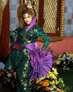 Cinderella's Stepmother | Disney Wiki | Fandom