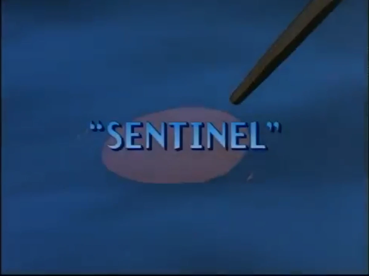 Sentinel (episode) | Disney Wiki | Fandom