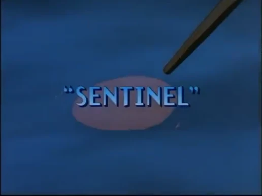 Sentinel (episode) | Disney Wiki | Fandom