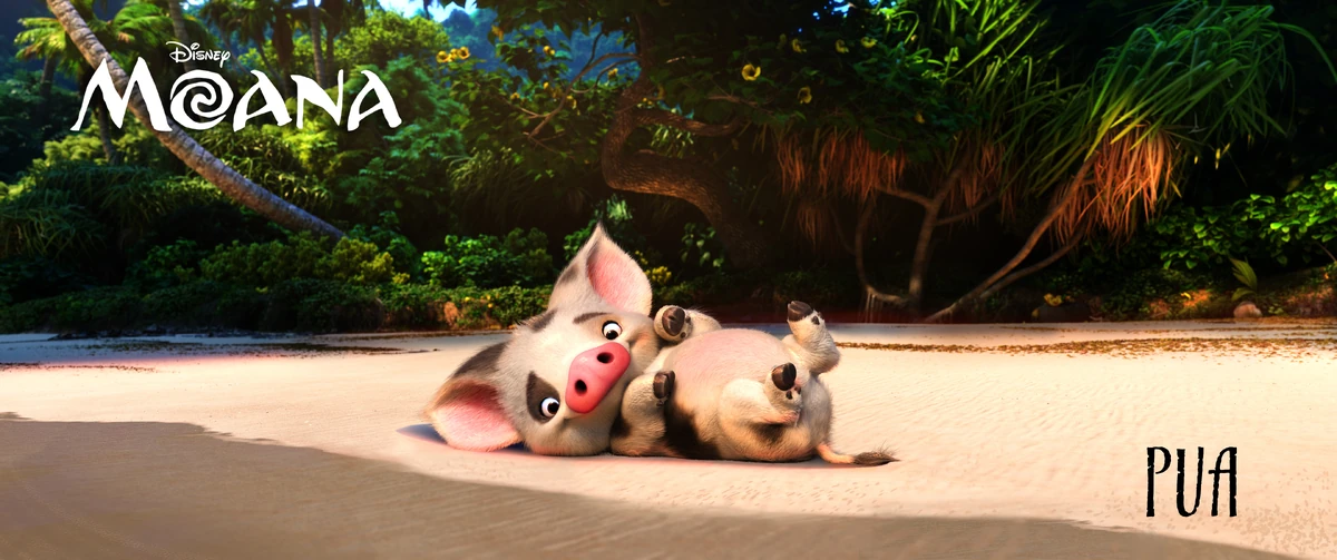 Pua (Moana)/Galería | Disney Wiki | Fandom