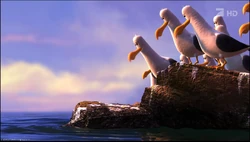 Finding Nemo Mine Birds