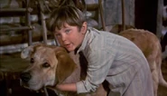 Arliss Coates | Disney Wiki | Fandom