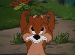 all in a nutshell sfx