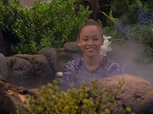 Hot Spring Friend Machine | Disney Wiki | Fandom