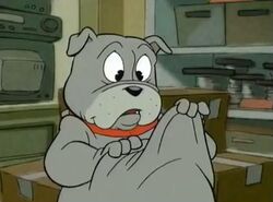 Fu Dog | Disney Wiki | Fandom