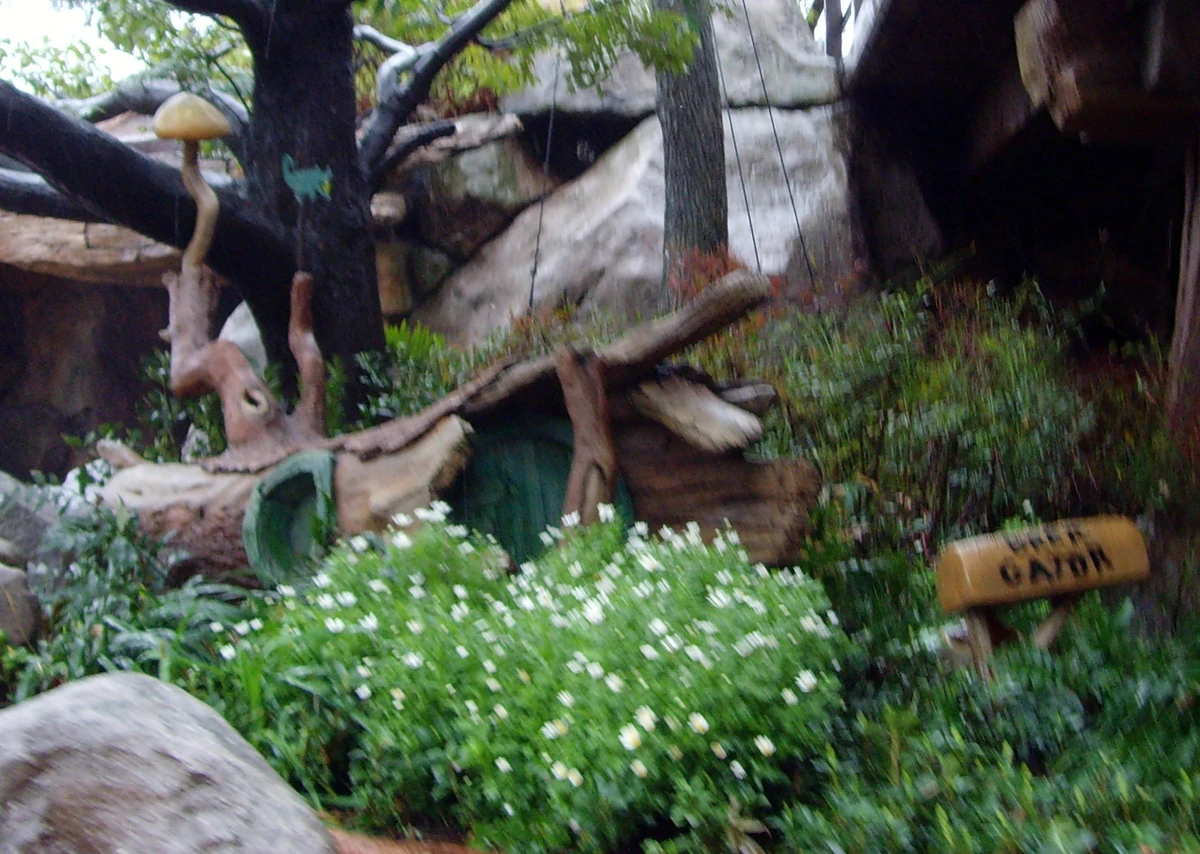 Br'er Gator's Home | Disney Wiki | Fandom