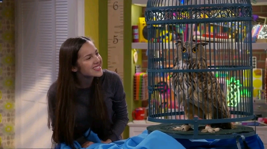 Hawkward | Disney Wiki | Fandom