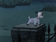 Scottie | Disney Wiki | Fandom